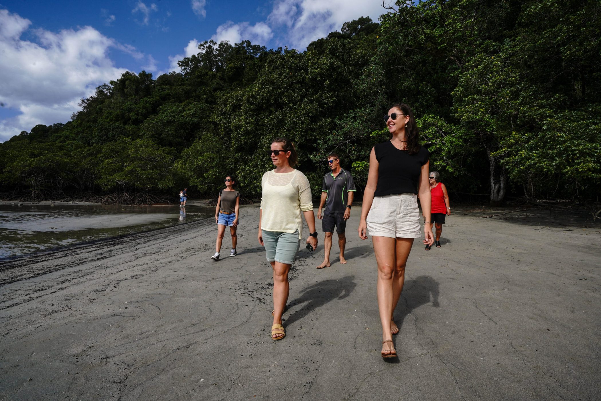 Cape Tribulation | Daintree Discovery Tours