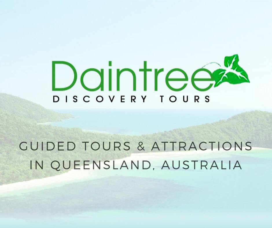 Port Douglas & Daintree Tour | Daintree Discovery Tours